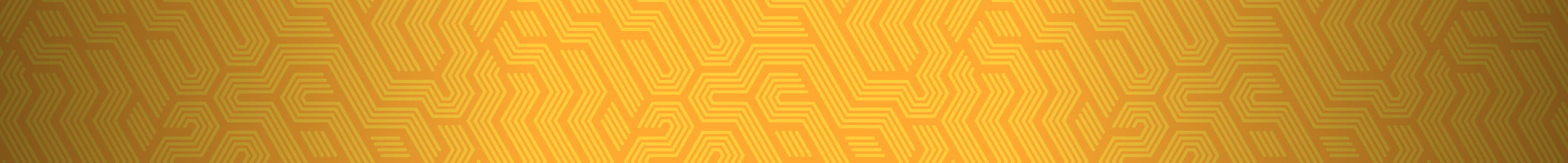 BAUER PROTO-R GOLD GRIP STICK SENIOR