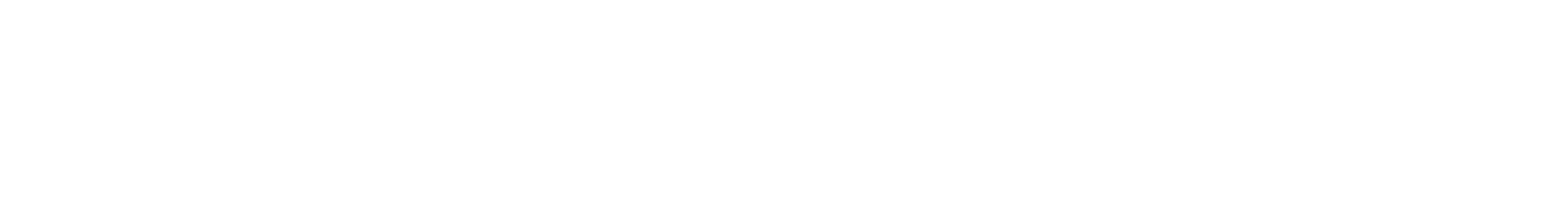 MYBAUER FLY-TI RUNNER