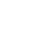 BAUER Digital Gift Card